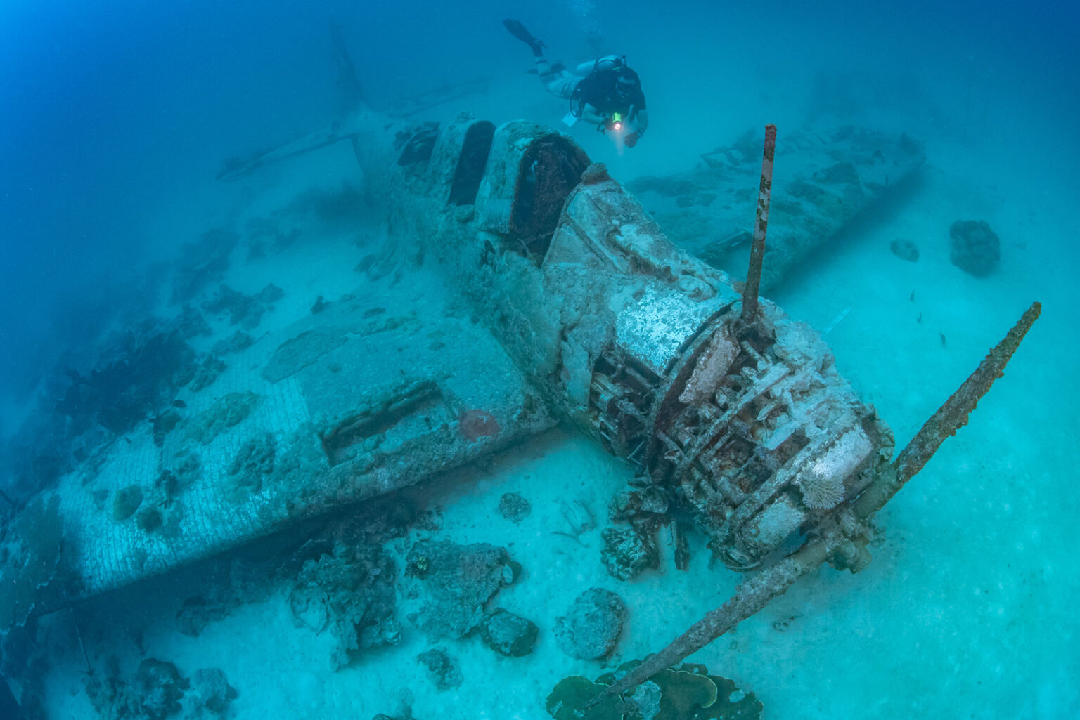 Devastator Rising – Air Sea Heritage Foundation